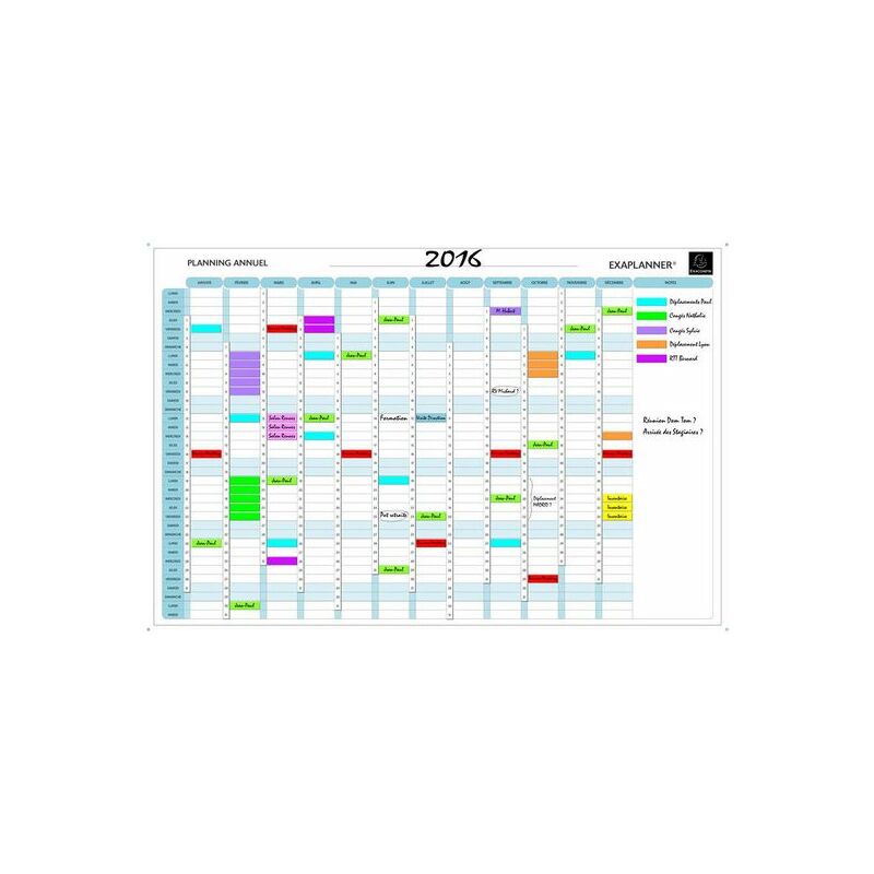 EXACOMPTA Planning annuel Exaplanner, (L)900 x (H)590 mm